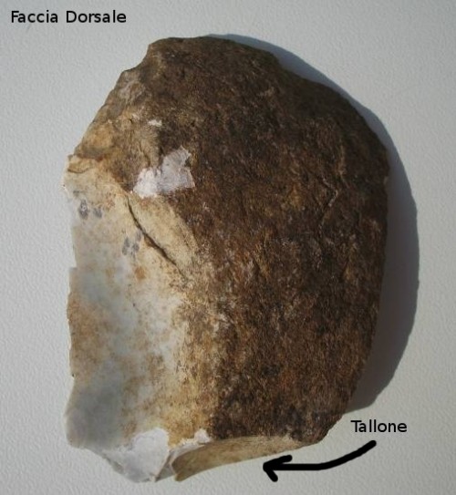 Come si riconosce una selce lavorata? - Scienza Facile