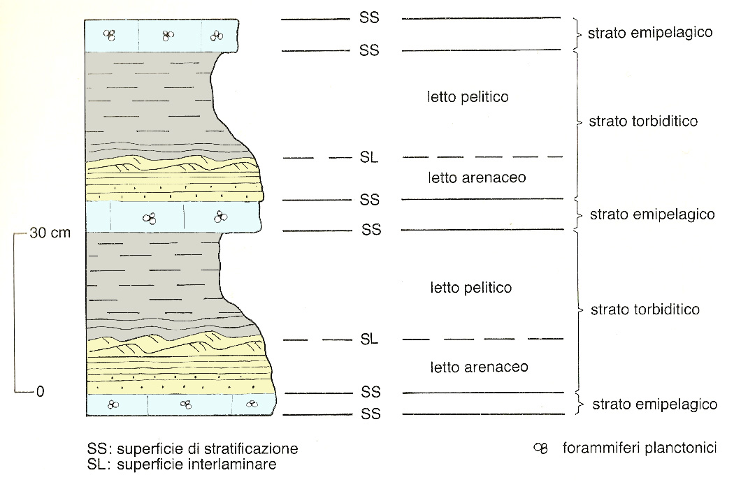 Cos’è uno strato? E cos’è la stratificazione? - Scienza Facile
