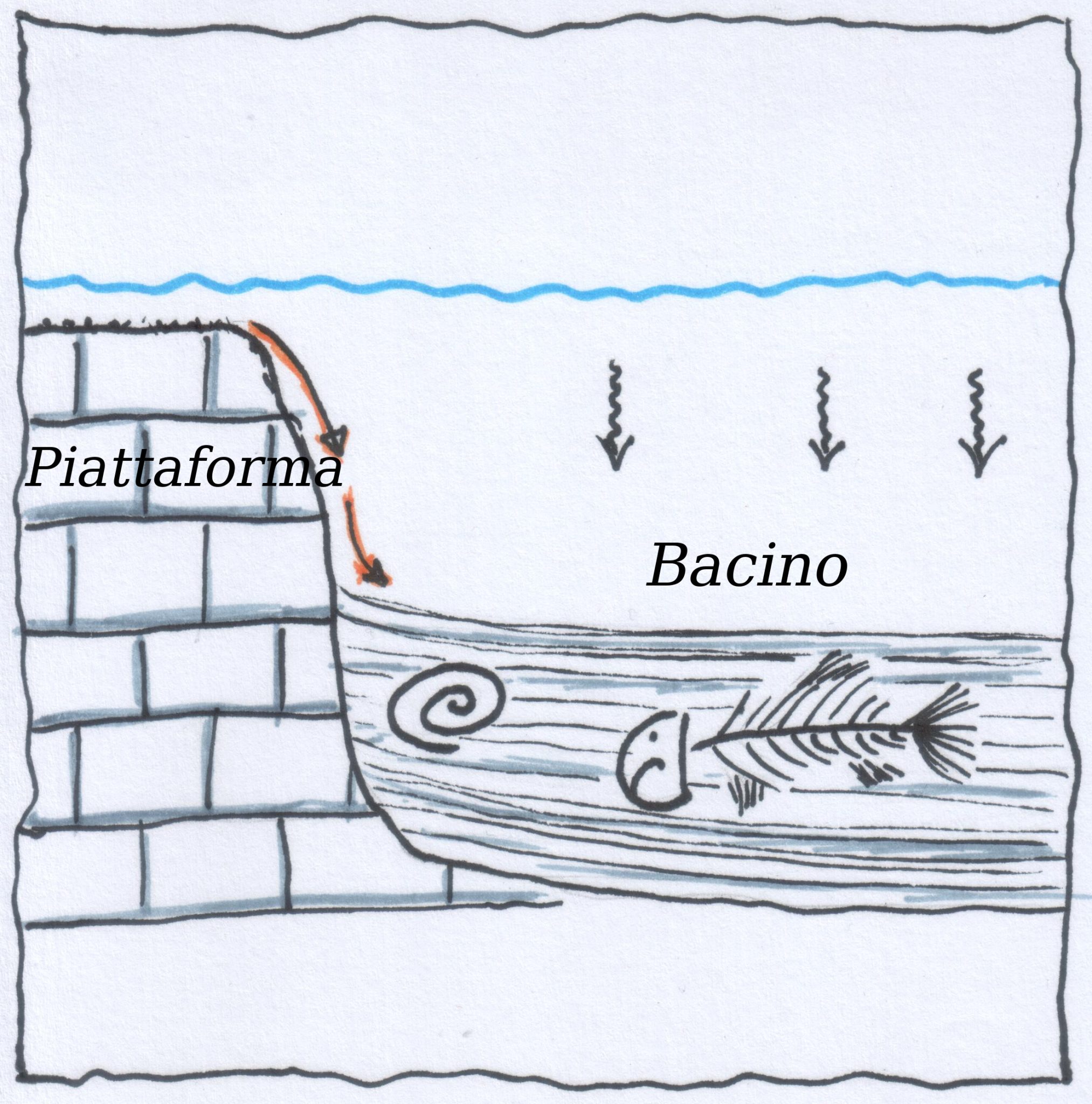 Scienza Facile - Blog di curiosità e divulgazione scientifica. Le ...